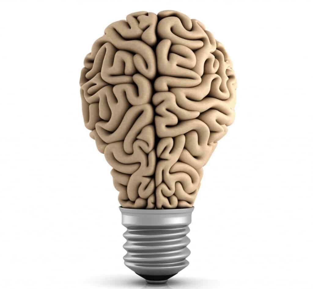 20 Things You Probably Didn t Know About The Human Brain Page 2 Of 5 20-things-you-probably-didn-t-know-about-the-human-brain-page-2-of-5