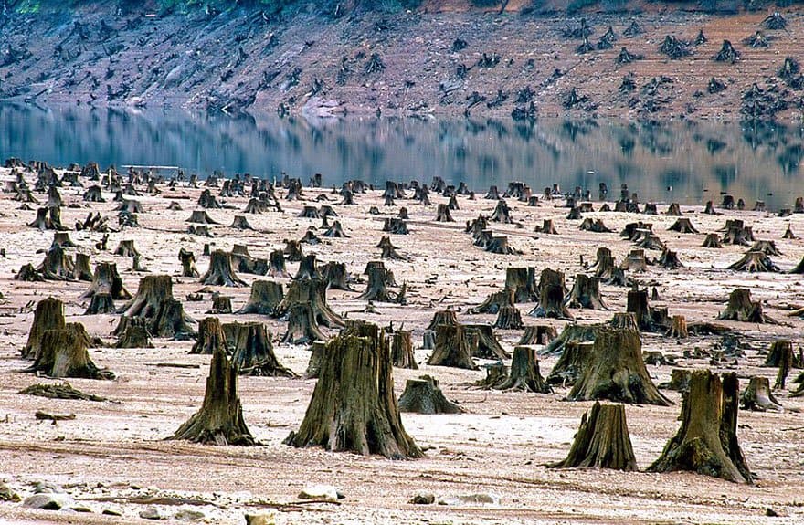 20 Shocking Photos Of Humans Slowly Destroying Planet Earth - Page 3 of 5