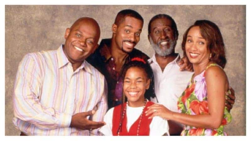 The 30 Best Black Sitcoms of All Time | Lipstick Alley