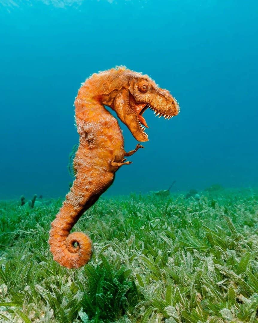 10 Amazingly Beautiful Photoshop Animals We Wish Existed - Page 4 of 5