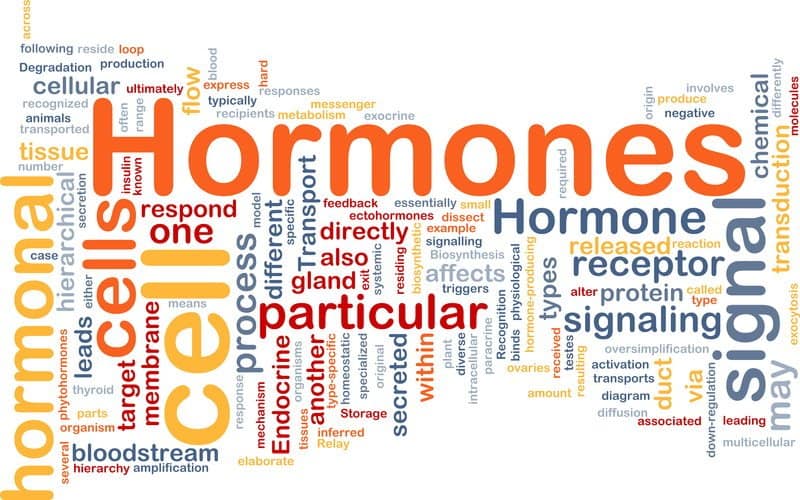 10 Crazy Facts About Hormones And How They Affect Our Lives